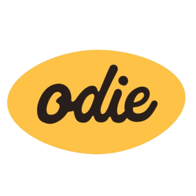 Embedded Systems Development & IoT Solutions | Epteck GmbH