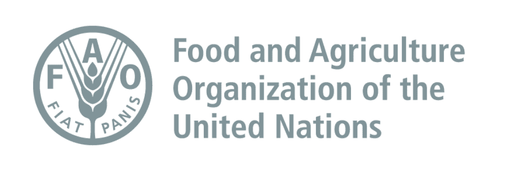 Embedded Systems Development & IoT Solutions | Epteck GmbH